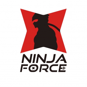 Ninja Force | art-mate.net